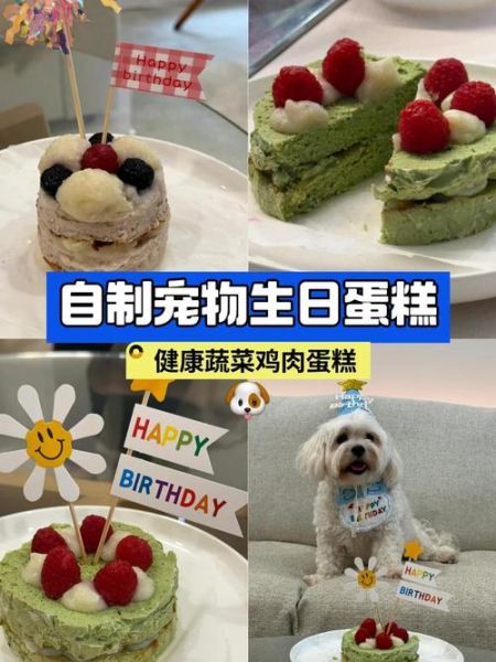 宠物蛋糕怎么做_狗狗生日蛋糕配方-第1张图片-山城妙识 宠物蛋糕怎么做_狗狗生日蛋糕配方-第1张图片-山城妙识