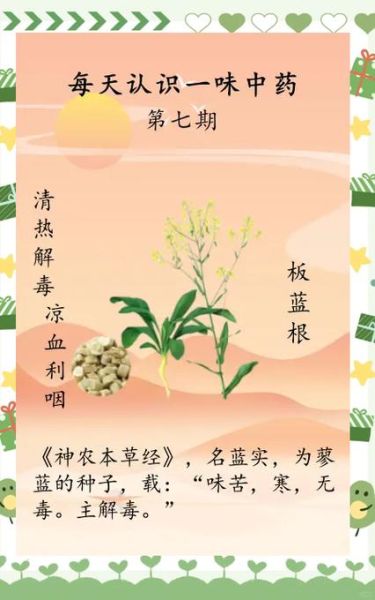 风寒感冒吃板蓝根有用吗_板蓝根对风寒感冒有效吗-第2张图片-山城妙识