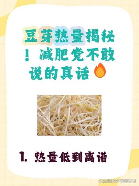 豆芽热量是多少_减肥可以吃豆芽吗-第3张图片-山城妙识