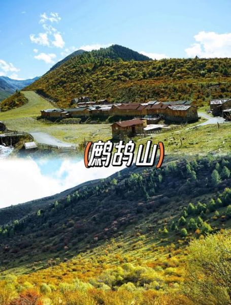 鹧鸪山自然公园门票多少钱_鹧鸪山自然公园怎么去-第2张图片-山城妙识