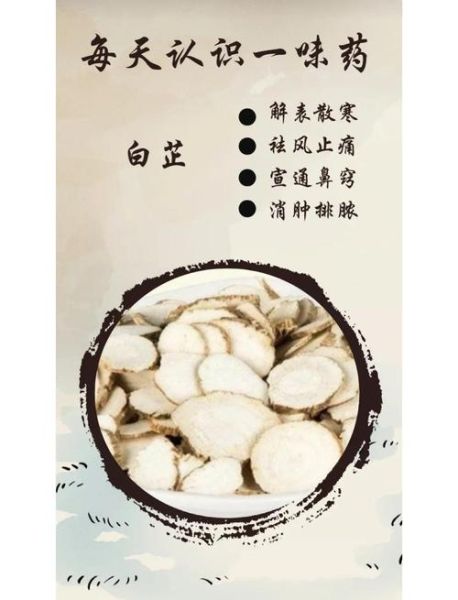 白芷的功效与作用主要治什么病_白芷治头痛鼻塞怎么用-第2张图片-山城妙识