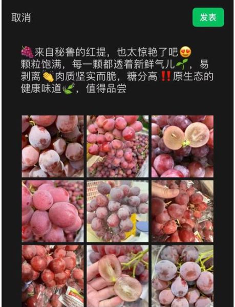 葡萄和红提哪个营养好_红提和葡萄营养价值对比-第3张图片-山城妙识 葡萄和红提哪个营养好_红提和葡萄营养价值对比-第3张图片-山城妙识