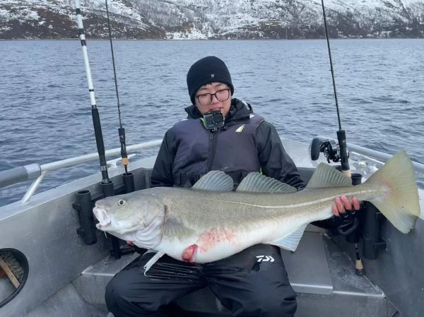 鳕鱼图片高清_如何挑选新鲜鳕鱼-第3张图片-山城妙识