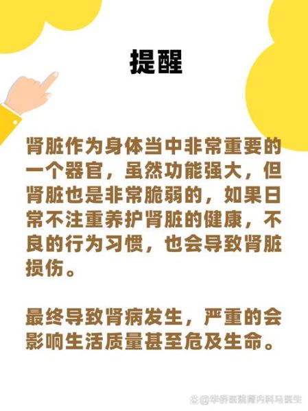 肾第一杀手是什么_如何预防-第3张图片-山城妙识 肾第一杀手是什么_如何预防-第3张图片-山城妙识