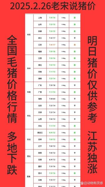 肉猪行情现在什么价位_今日肉猪价格多少钱一斤-第2张图片-山城妙识 肉猪行情现在什么价位_今日肉猪价格多少钱一斤-第2张图片-山城妙识