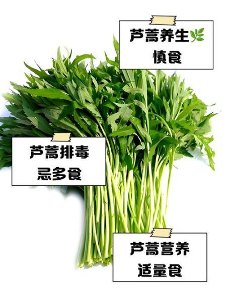 芦蒿什么人不能吃_芦蒿禁忌人群有哪些-第1张图片-山城妙识
