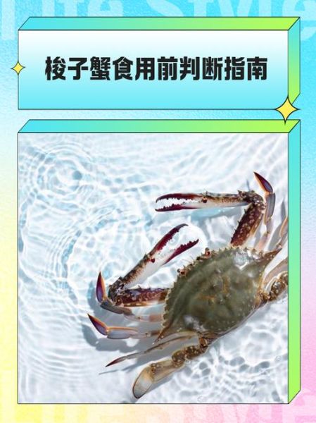 梭子蟹哪里不能吃_梭子蟹哪些部位有毒-第2张图片-山城妙识