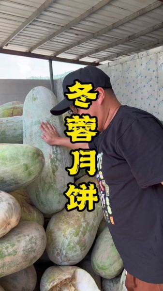 月饼馅是冬瓜做的吗_冬瓜月饼馅真相-第1张图片-山城妙识