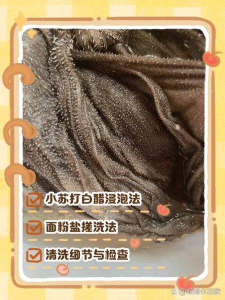 牛百叶怎么洗才能干净_牛百叶清洗技巧-第1张图片-山城妙识 牛百叶怎么洗才能干净_牛百叶清洗技巧-第1张图片-山城妙识