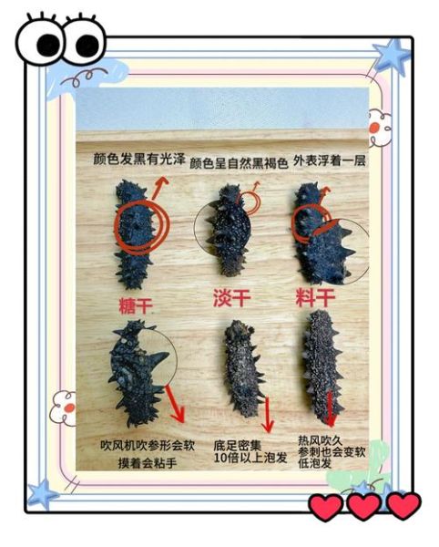 刺参和海参的区别_哪个营养价值更高-第1张图片-山城妙识 刺参和海参的区别_哪个营养价值更高-第1张图片-山城妙识