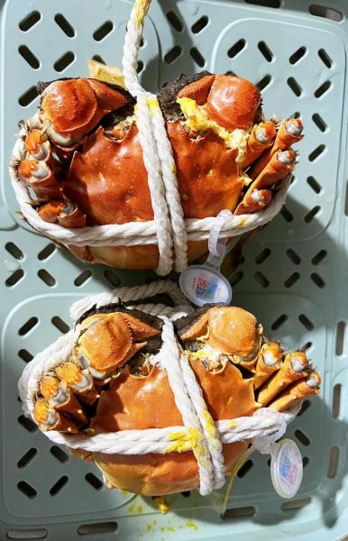 苏州大闸蟹什么时候上市_上市时间一般几月-第1张图片-山城妙识 苏州大闸蟹什么时候上市_上市时间一般几月-第1张图片-山城妙识