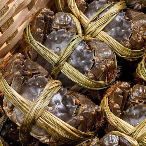 苏州大闸蟹什么时候上市_上市时间一般几月-第3张图片-山城妙识 苏州大闸蟹什么时候上市_上市时间一般几月-第3张图片-山城妙识