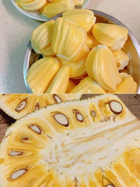 菠萝蜜怎么剥皮最简单_菠萝蜜剥皮不粘手的方法-第2张图片-山城妙识