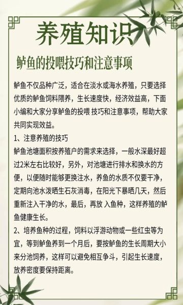 鲈鱼养殖技术_如何提高成活率-第1张图片-山城妙识