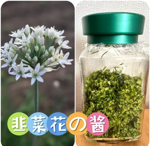 韭菜花酱怎么做_自制韭菜花酱的做法-第1张图片-山城妙识 韭菜花酱怎么做_自制韭菜花酱的做法-第1张图片-山城妙识