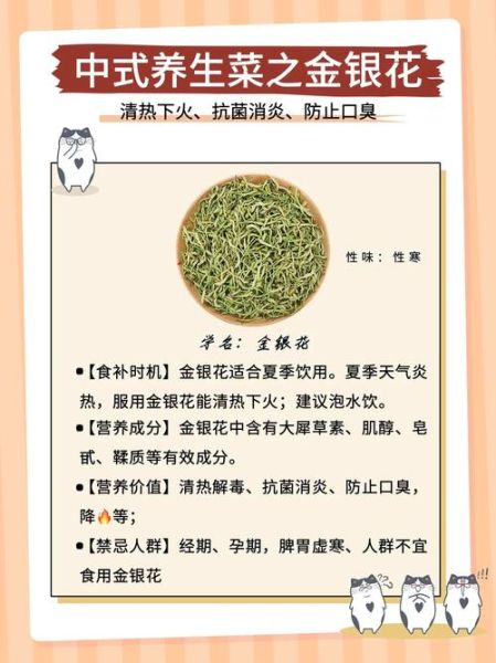 金银花茶哪些人不能喝_金银花茶禁忌人群-第2张图片-山城妙识