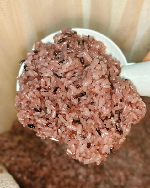 饭团蒸米饭怎么不粘锅_蒸饭团用哪种米最好-第3张图片-山城妙识