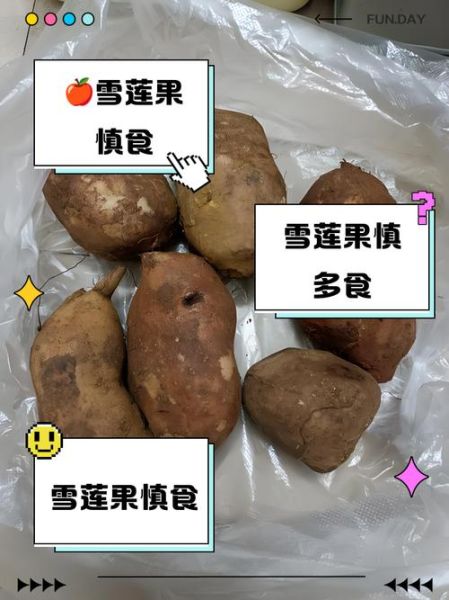 雪莲果为啥不能晚上吃_雪莲果晚上吃有什么危害-第1张图片-山城妙识 雪莲果为啥不能晚上吃_雪莲果晚上吃有什么危害-第1张图片-山城妙识