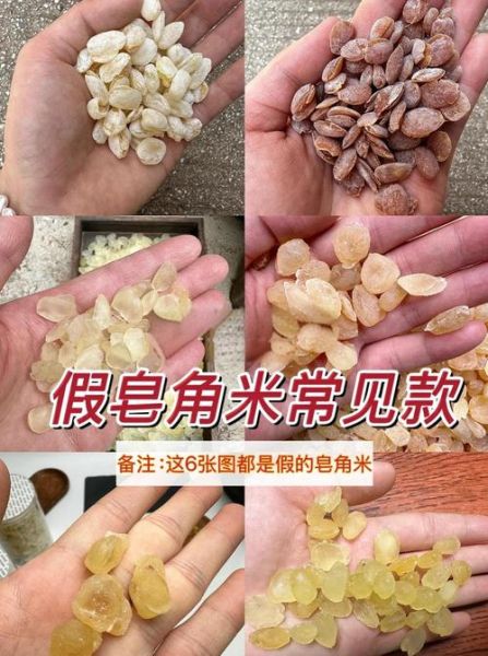 皂角米真假怎么分辨_皂角米真假辨别方法-第2张图片-山城妙识 皂角米真假怎么分辨_皂角米真假辨别方法-第2张图片-山城妙识