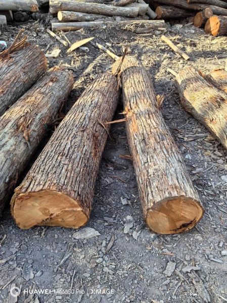 香椿木的功效与作用_香椿木家具禁忌有哪些-第2张图片-山城妙识 香椿木的功效与作用_香椿木家具禁忌有哪些-第2张图片-山城妙识