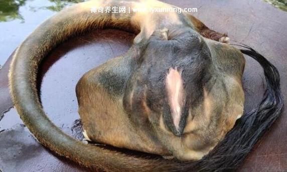 牛欢喜功效与作用_牛欢喜真的补肾壮阳吗-第2张图片-山城妙识 牛欢喜功效与作用_牛欢喜真的补肾壮阳吗-第2张图片-山城妙识