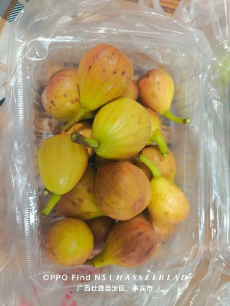 无花果多少钱一斤_无花果价格受哪些因素影响-第1张图片-山城妙识 无花果多少钱一斤_无花果价格受哪些因素影响-第1张图片-山城妙识