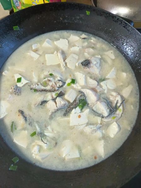 黑头鱼汤怎么炖不腥_黑头鱼汤的做法大全窍门-第1张图片-山城妙识