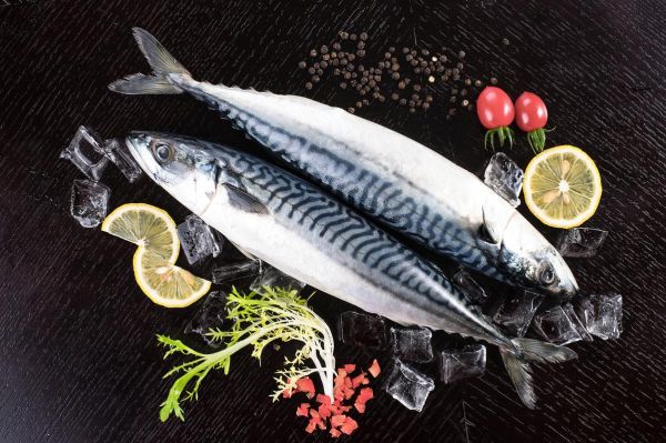 鲅鱼图片大全大图_鲅鱼高清图片怎么拍-第2张图片-山城妙识 鲅鱼图片大全大图_鲅鱼高清图片怎么拍-第2张图片-山城妙识