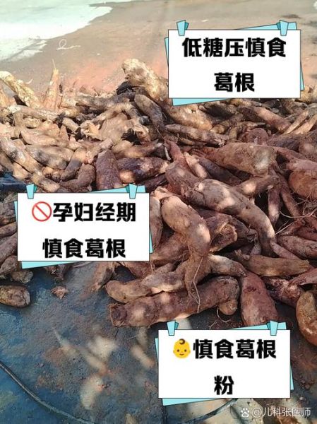 葛根粉三种人不宜吃_葛根粉哪些人不能吃-第1张图片-山城妙识 葛根粉三种人不宜吃_葛根粉哪些人不能吃-第1张图片-山城妙识