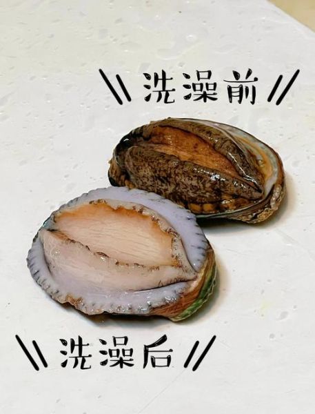 鲍鱼内脏怎么清洗_图解步骤详解-第1张图片-山城妙识 鲍鱼内脏怎么清洗_图解步骤详解-第1张图片-山城妙识