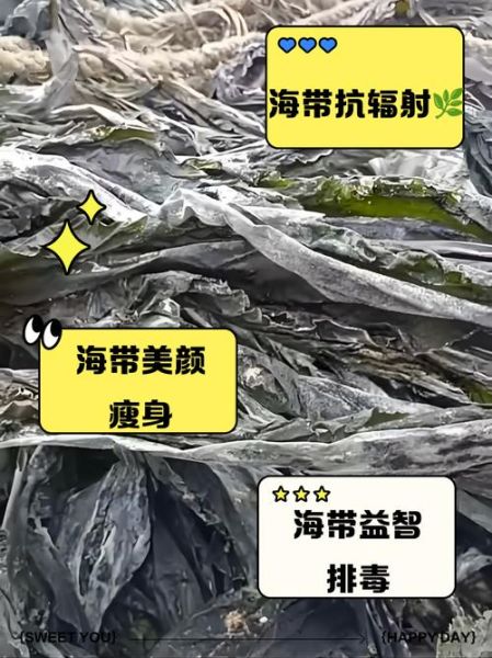 海带有什么营养价值_海带的功效与作用有哪些-第1张图片-山城妙识