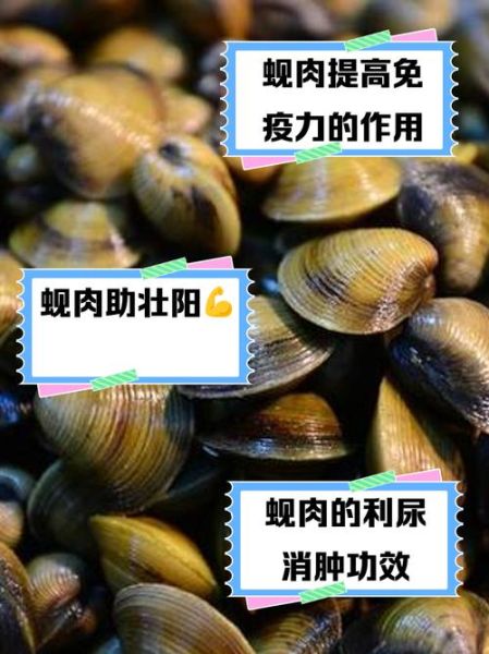 蚬子肉的营养价值_蚬子肉的功效与作用-第1张图片-山城妙识 蚬子肉的营养价值_蚬子肉的功效与作用-第1张图片-山城妙识