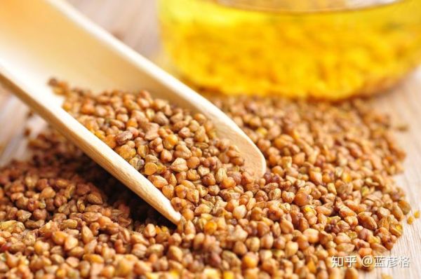 荞麦图片高清_如何挑选优质荞麦-第2张图片-山城妙识