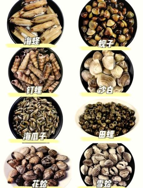花蛤和文蛤白蛤哪种好吃_口感区别与选购技巧-第1张图片-山城妙识 花蛤和文蛤白蛤哪种好吃_口感区别与选购技巧-第1张图片-山城妙识