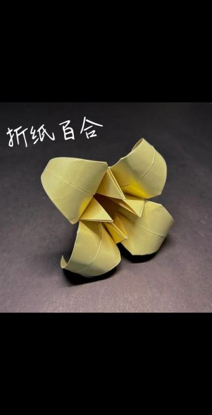 百合花怎么折_折纸百合花步骤-第2张图片-山城妙识 百合花怎么折_折纸百合花步骤-第2张图片-山城妙识