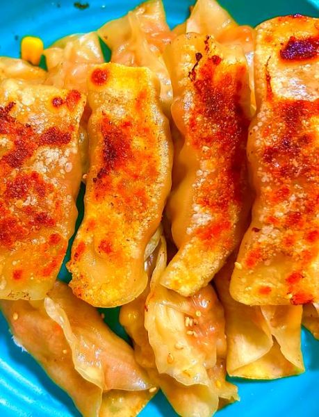 锅贴用电饼铛怎么做_电饼铛锅贴底部不硬技巧-第1张图片-山城妙识 锅贴用电饼铛怎么做_电饼铛锅贴底部不硬技巧-第1张图片-山城妙识