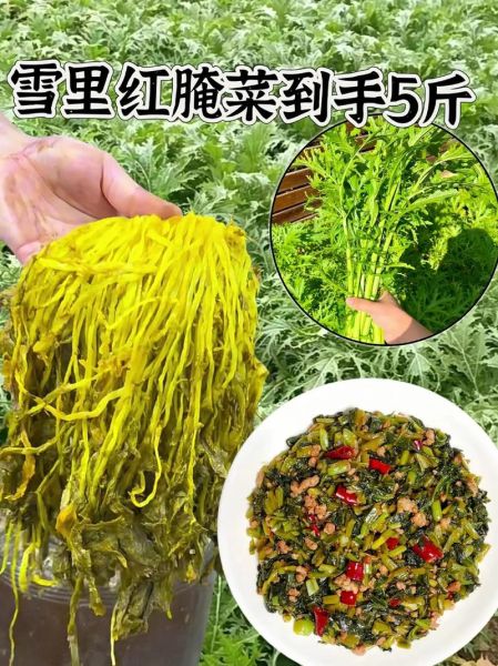 雪里红腌菜怎么保存不坏_雪里红腌菜的做法步骤-第1张图片-山城妙识 雪里红腌菜怎么保存不坏_雪里红腌菜的做法步骤-第1张图片-山城妙识