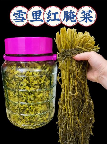 雪里红腌菜怎么保存不坏_雪里红腌菜的做法步骤-第2张图片-山城妙识 雪里红腌菜怎么保存不坏_雪里红腌菜的做法步骤-第2张图片-山城妙识
