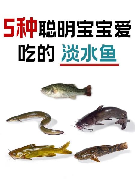 淡水鱼的营养价值及功效_淡水鱼怎么吃最健康-第2张图片-山城妙识 淡水鱼的营养价值及功效_淡水鱼怎么吃最健康-第2张图片-山城妙识