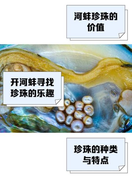 普通河蚌有珍珠吗_如何辨别河蚌珍珠-第1张图片-山城妙识 普通河蚌有珍珠吗_如何辨别河蚌珍珠-第1张图片-山城妙识