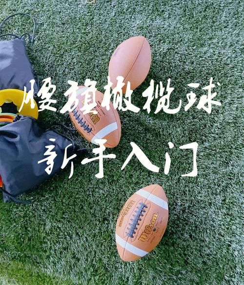 橄榄球规则详解_初学者如何看懂比赛-第2张图片-山城妙识 橄榄球规则详解_初学者如何看懂比赛-第2张图片-山城妙识