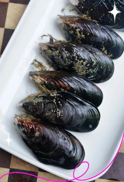 青口贝蒸多久才熟_青口贝蒸几分钟口感最佳-第1张图片-山城妙识 青口贝蒸多久才熟_青口贝蒸几分钟口感最佳-第1张图片-山城妙识