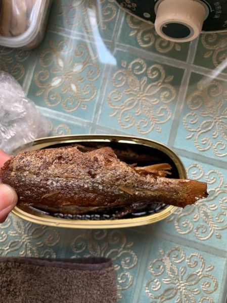 豆豉鲮鱼罐头哪个牌子好吃_怎么选才不上当-第1张图片-山城妙识