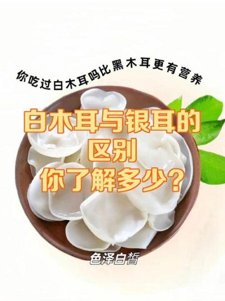 白色木耳是银耳吗_白色木耳和银耳的区别-第3张图片-山城妙识