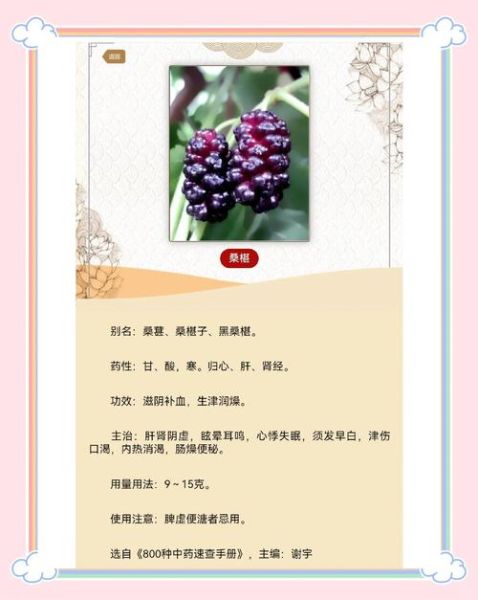 黑桑葚的功效与作用_黑桑葚怎么吃效果最好-第1张图片-山城妙识