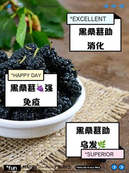 黑桑葚的功效与作用_黑桑葚怎么吃效果最好-第2张图片-山城妙识