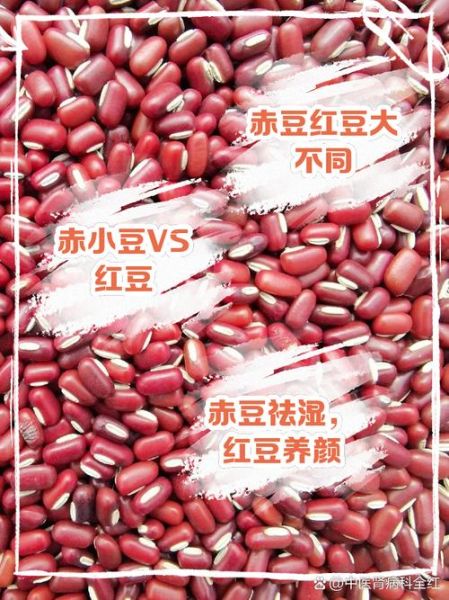 赤小豆和红豆的区别_赤小豆与红豆哪个祛湿好-第3张图片-山城妙识 赤小豆和红豆的区别_赤小豆与红豆哪个祛湿好-第3张图片-山城妙识