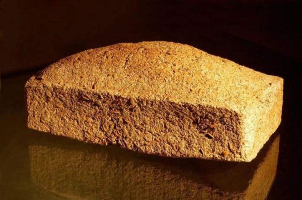 酒曲虫长什么样_酒曲虫怎么处理-第2张图片-山城妙识