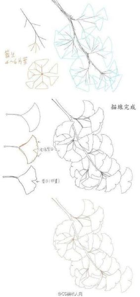 银杏树简笔画怎么画_银杏树图片简笔画步骤-第2张图片-山城妙识 银杏树简笔画怎么画_银杏树图片简笔画步骤-第2张图片-山城妙识