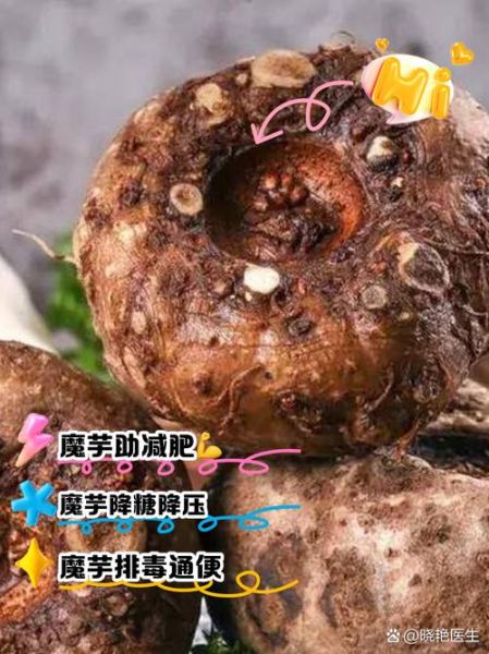 魔芋长什么样_魔芋植株有毒吗-第2张图片-山城妙识 魔芋长什么样_魔芋植株有毒吗-第2张图片-山城妙识